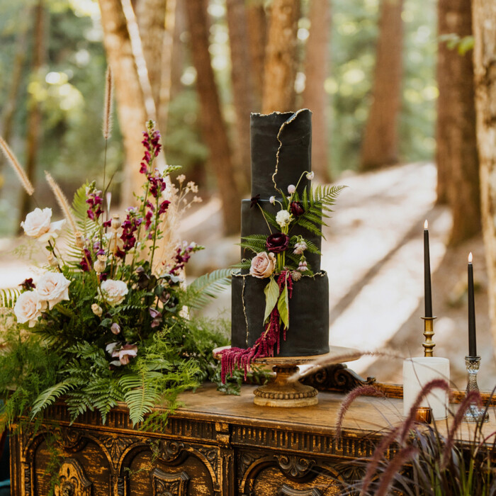 Moody Forest Inspiration Submitted Styled Shoot at Indian Rock Tree Farm