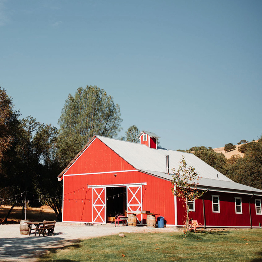 Vida Buena Farm | Sacramento Barn Wedding Venue